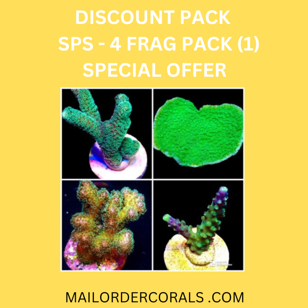 Coral Variety Packs Archives - mailordercorals.com