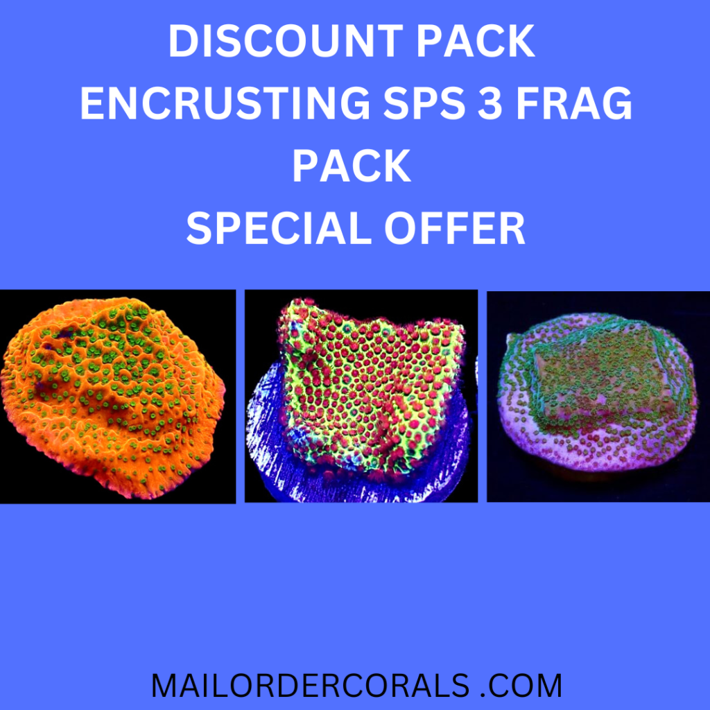 Coral Variety Packs Archives - mailordercorals.com